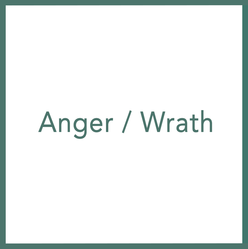 Anger / Wrath - Performed by Nikola Adamović – Spirituality Onwards